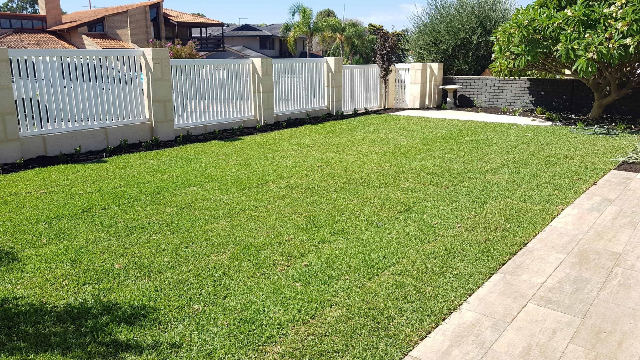 Lawn Installation in Perth | Indian Ocean Landscapes
